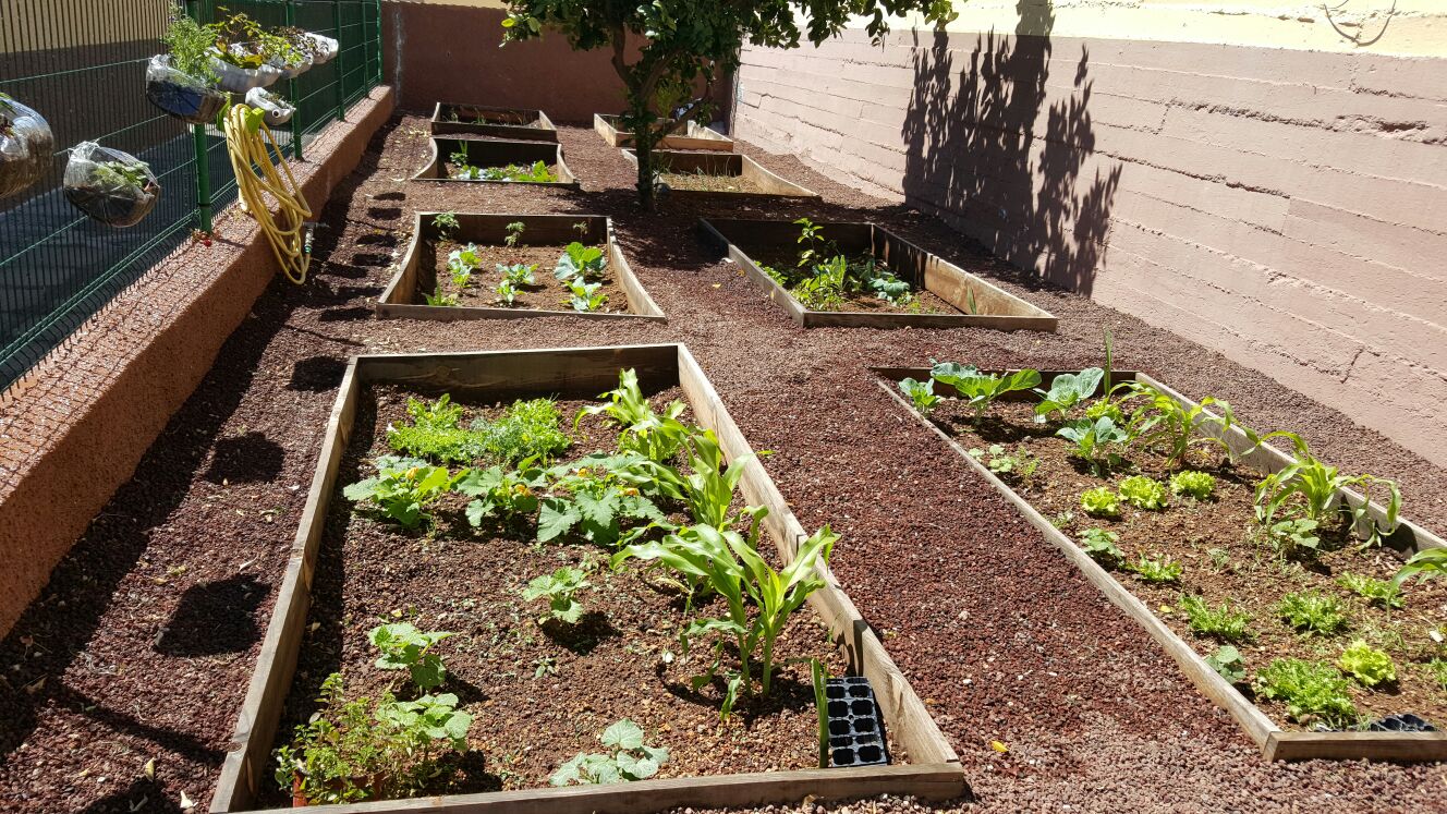 Curso gratuito - Diseño y manejo ecológico de huertos escolares y comunitarios | EFA El Campico